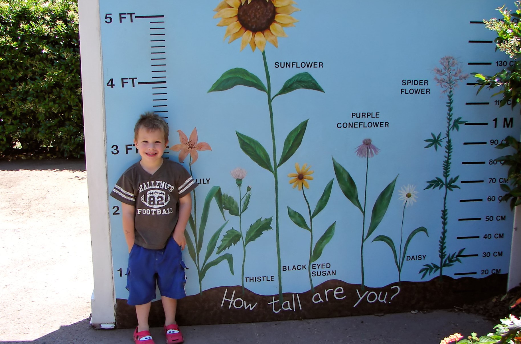 Dečaci 0-36 meseci: visina i težina - Portal Moj pedijatar